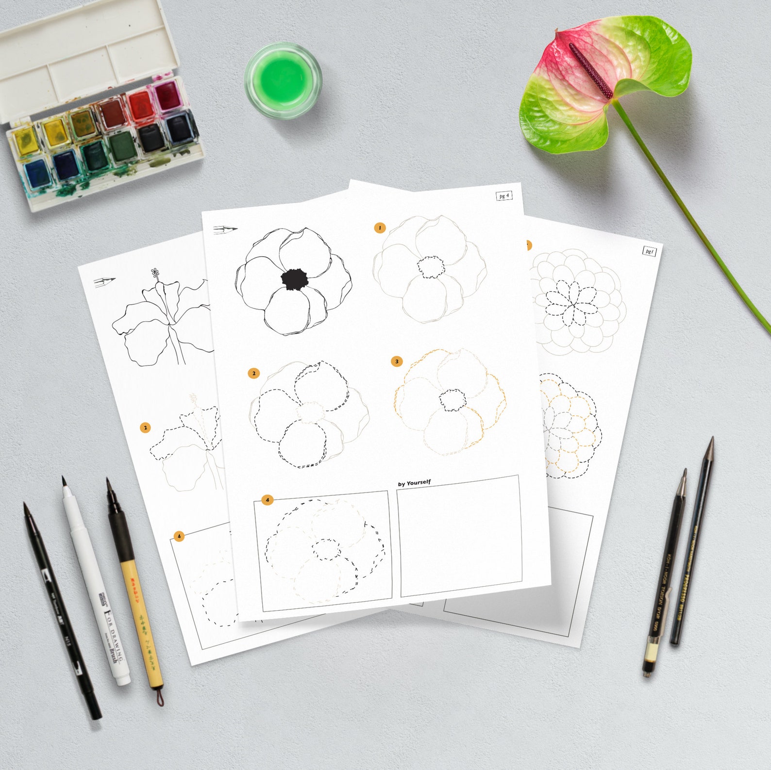 Draw Flowers With a Instruction and Step by Step Worksheets | Etsy