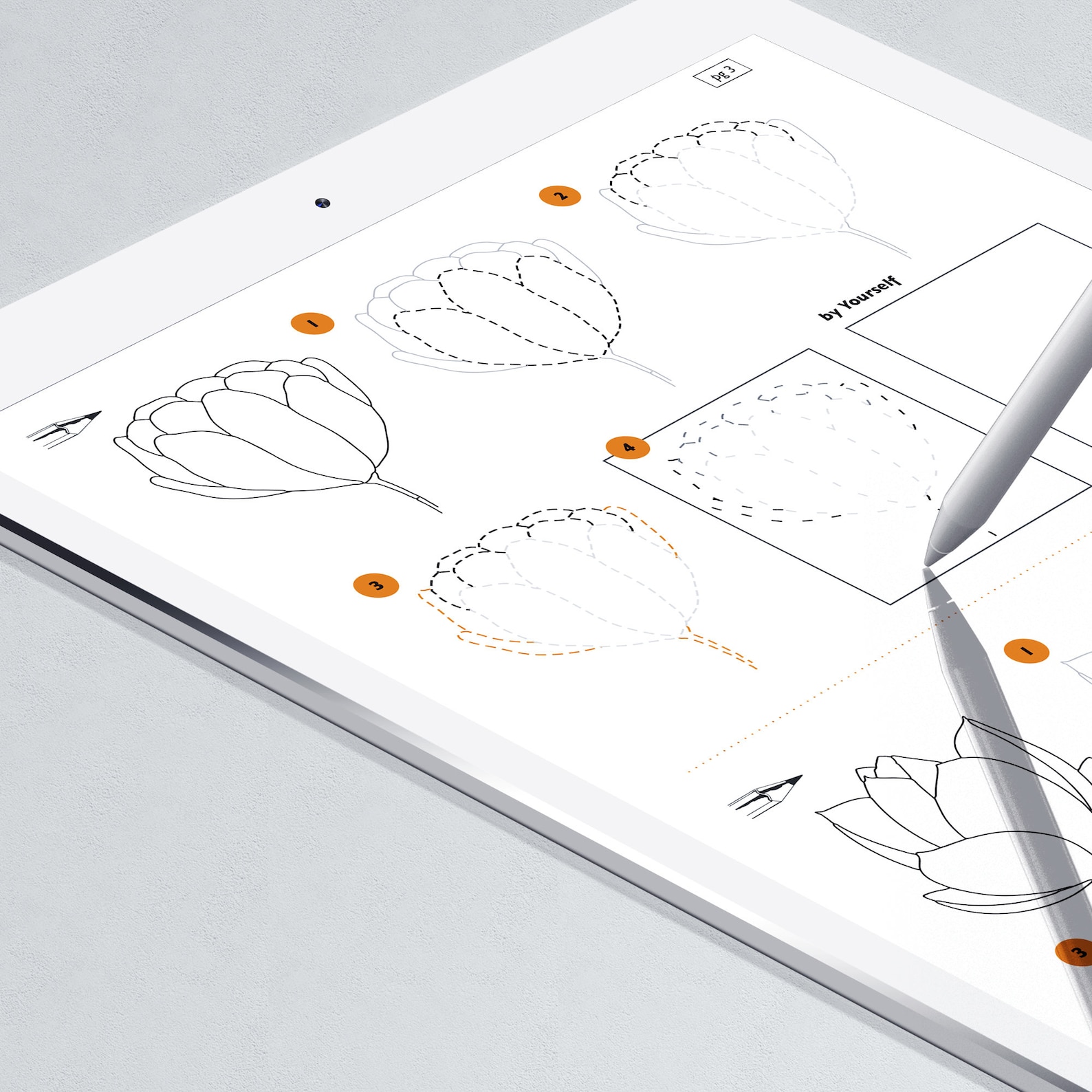 Draw Flowers With a Instruction and Step by Step Worksheets | Etsy