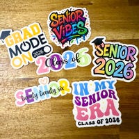 COMBO 10 PCS Class of 2026 Senior Stickers | Pink Theme Vinyl Senior ...