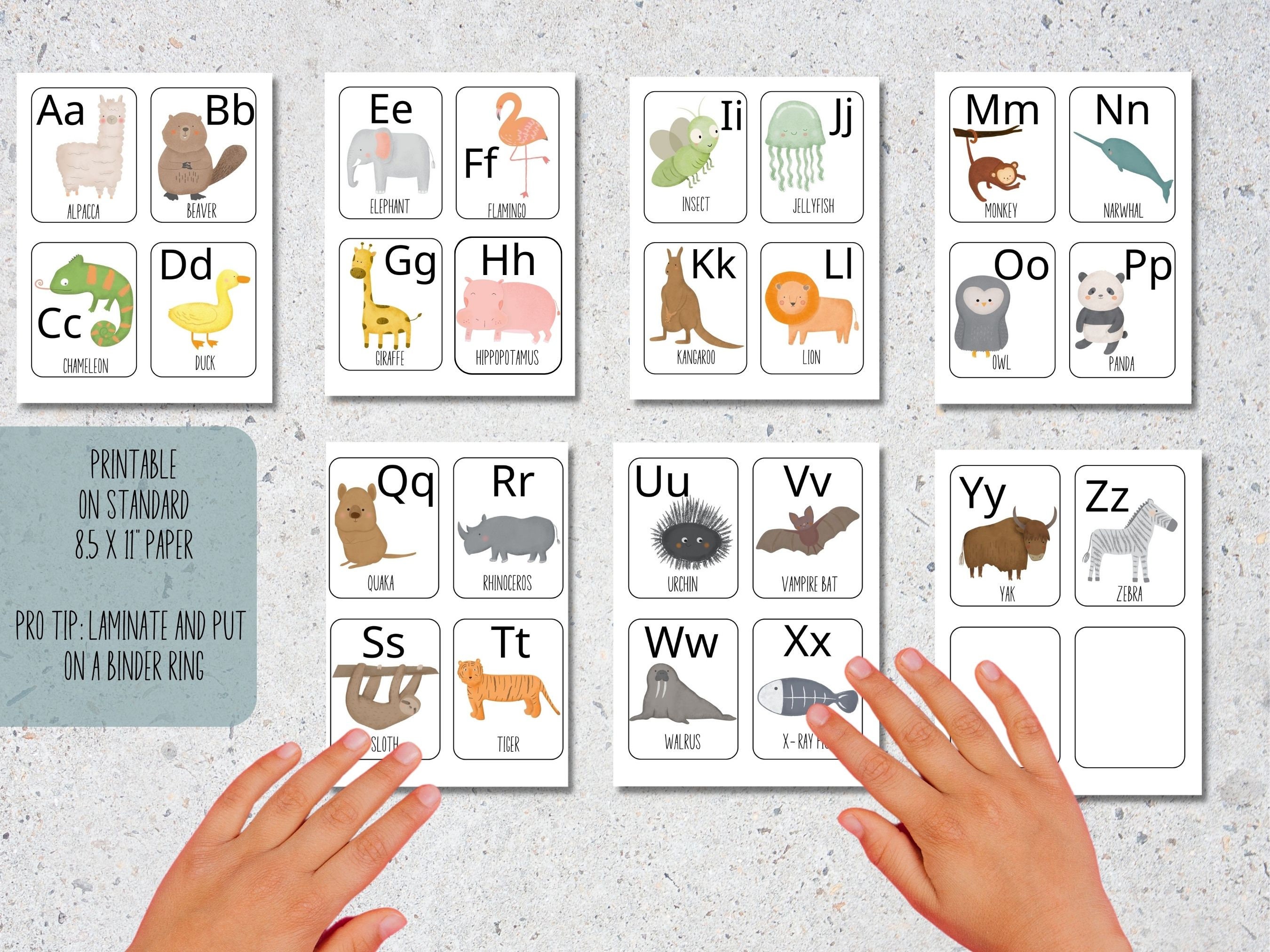 ABC Animal Flashcards Animal Flashcards for Kids ABC Cards - Etsy