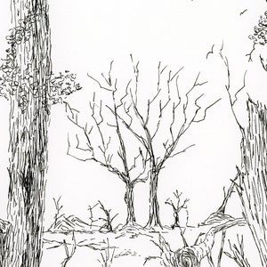 9x12 Pen and Ink Petrified Forest Original Hand Sketched Not a Print ...