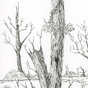 9x12 Pen and Ink Petrified Forest Original Hand Sketched Not a Print ...