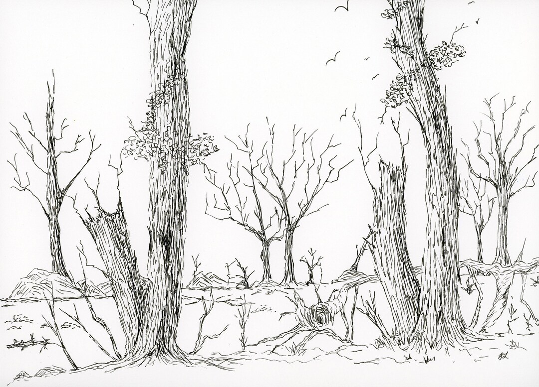 9x12 Pen and Ink Petrified Forest Original Hand Sketched Not a Print ...