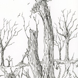 9x12 Pen and Ink Petrified Forest Original Hand Sketched Not a Print ...