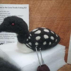 Loon Needle Felting Kit DIY - Etsy