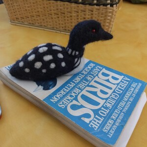 Loon Needle Felting Kit DIY - Etsy