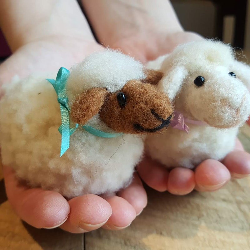 Sheep Felting Kit - Etsy