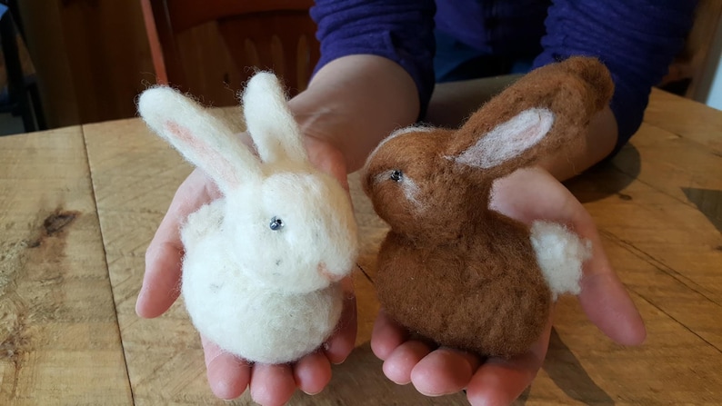 Rabbit Needle Felting Kit DIY - Etsy
