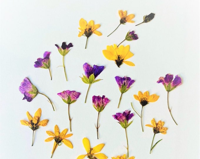 Pressed Flowers, Purple Flowers, Natural Flowers, Craft Flowers, Edible ...