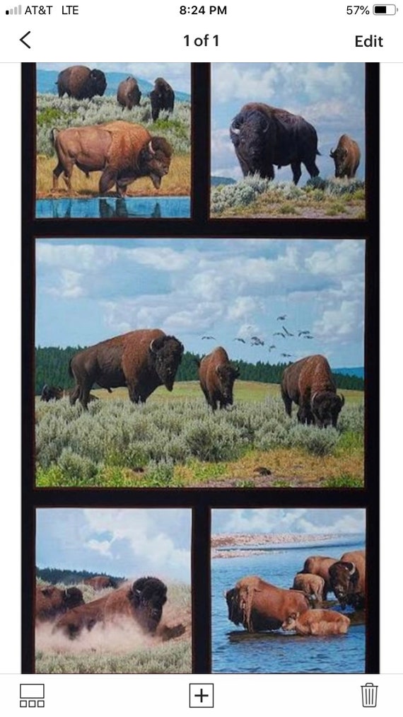 Buffalo Panels Fabric | Etsy