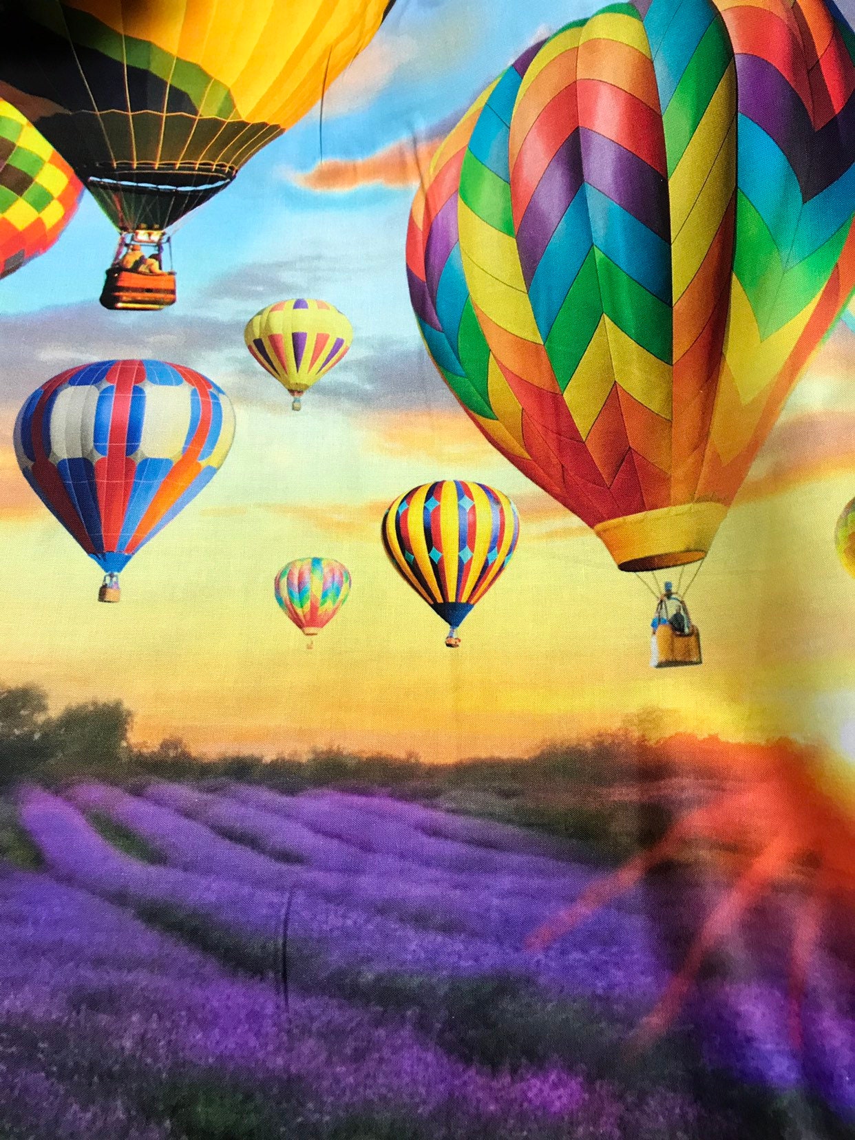 Hot Air Balloon Panel - Etsy