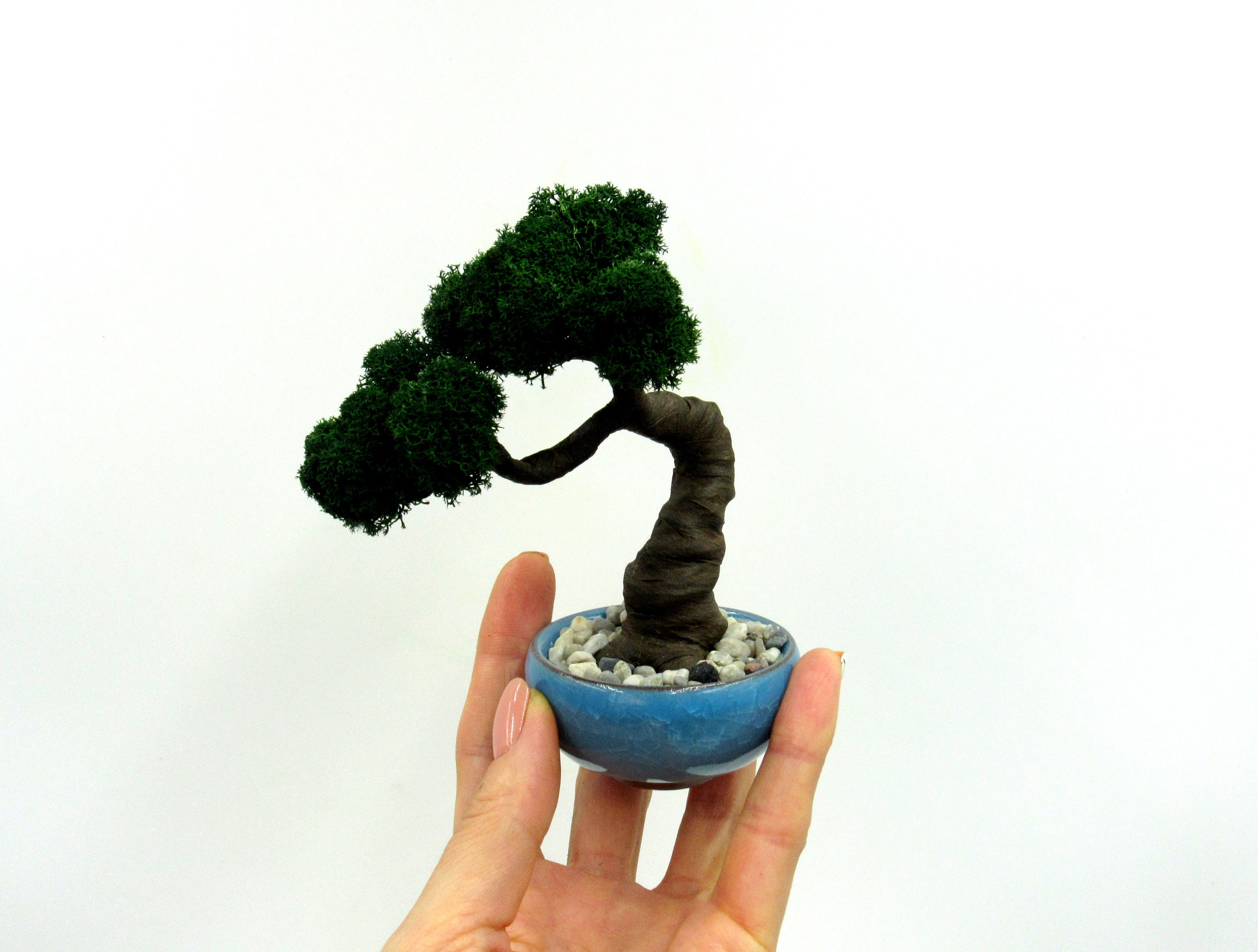 Preserved moss bonsai tree | Etsy