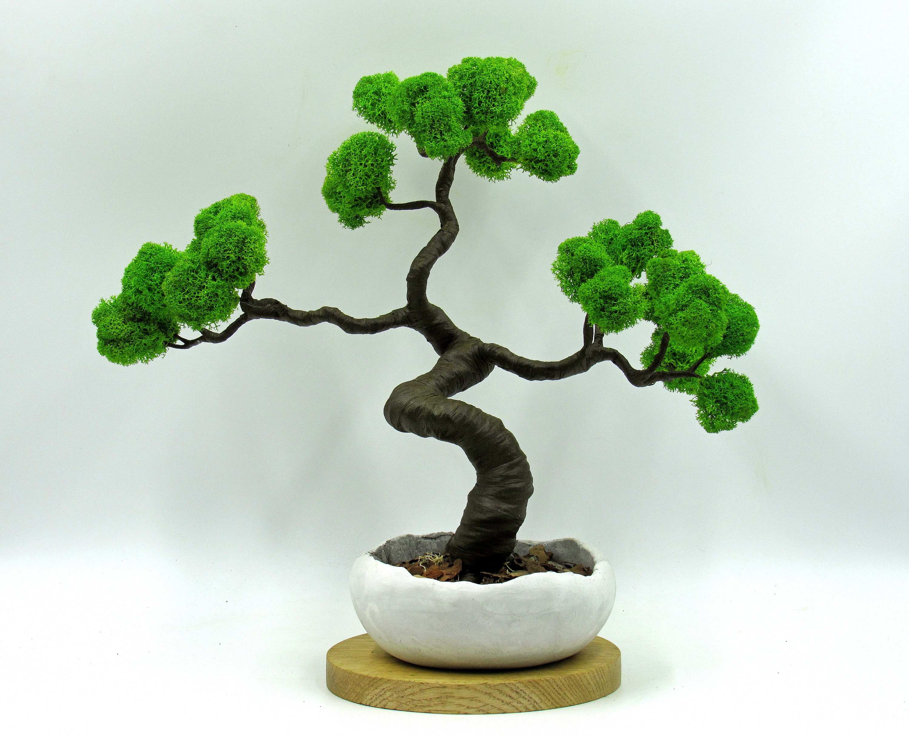 Artificial Bonsai tree preserved moss 8 inches bonsai | Etsy