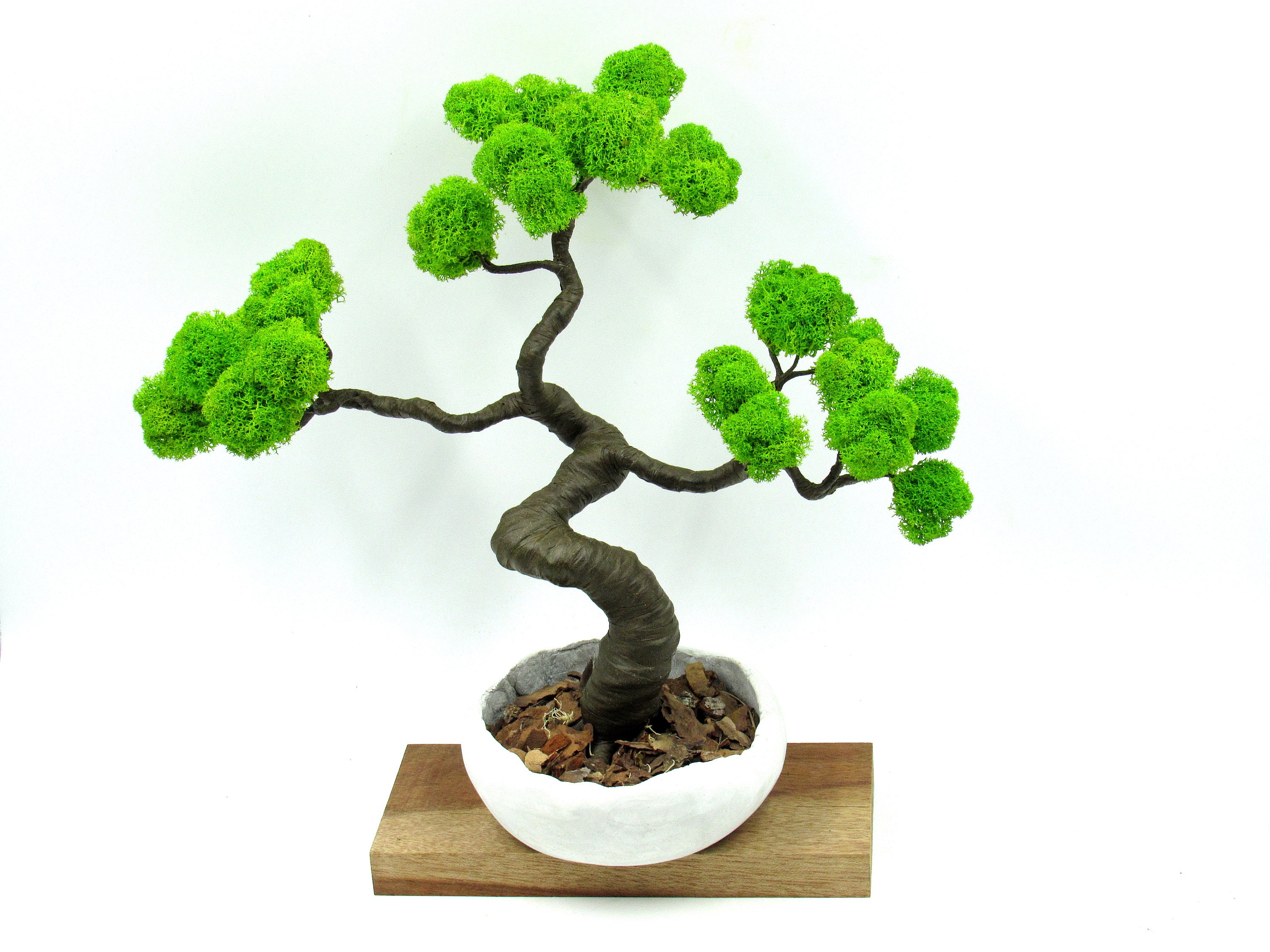 Artificial Bonsai tree preserved moss 8 inches bonsai | Etsy