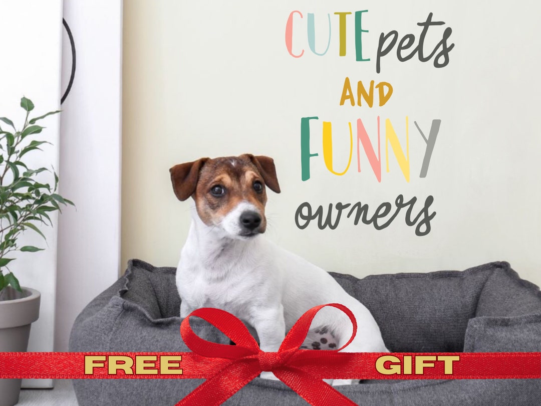 Grooming Salon Sign, Dog Wall Decor, Dog Decal, Grooming Salon Decal ...