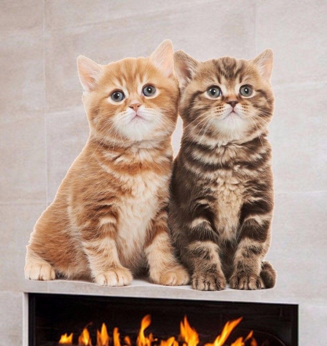 Kittens Wall Color Decal, Sticker, Cat Full Decal, Kittens Decor, Cats ...