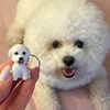 Custom Bichon Frise Keychain, Pet With His Name in Heart, Gift for Dog ...