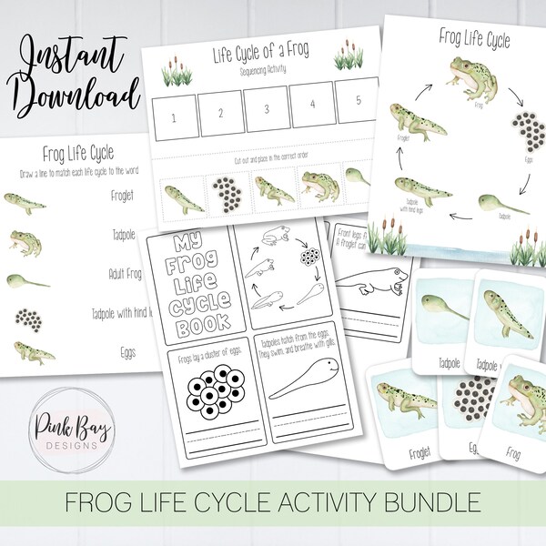 Frog Life Cycle - Etsy