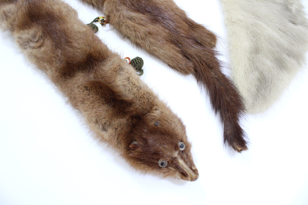 Mink Pelt Collars, Costume Minks, White Fur Collar, Wraps, Pelt, Copper ...
