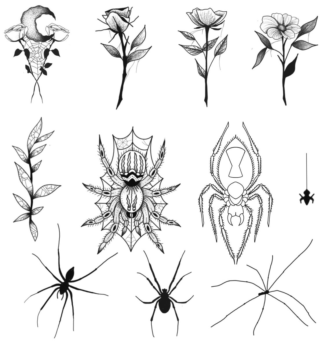 Spider Web and Spider Procreate Brushes and Stamps, Tattoo Flash or for ...