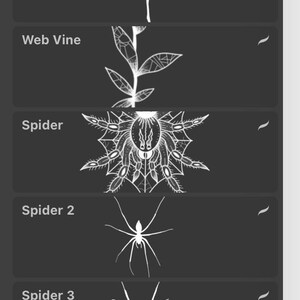 Spider Web and Spider Procreate Brushes and Stamps, Tattoo Flash or for ...