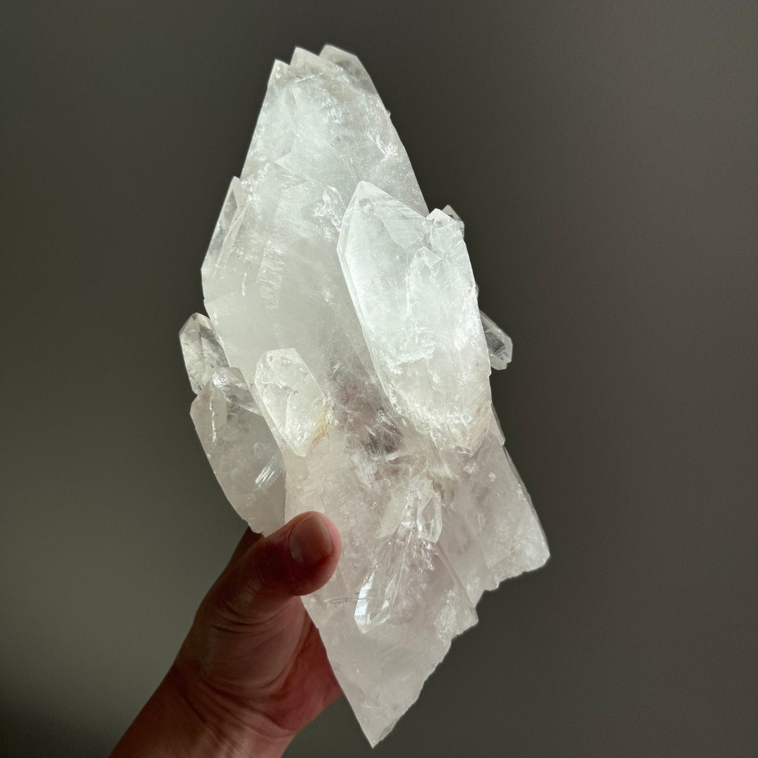 Elestial Crocodile Quartz Crystal Natural Alligator Clear Quartz ...