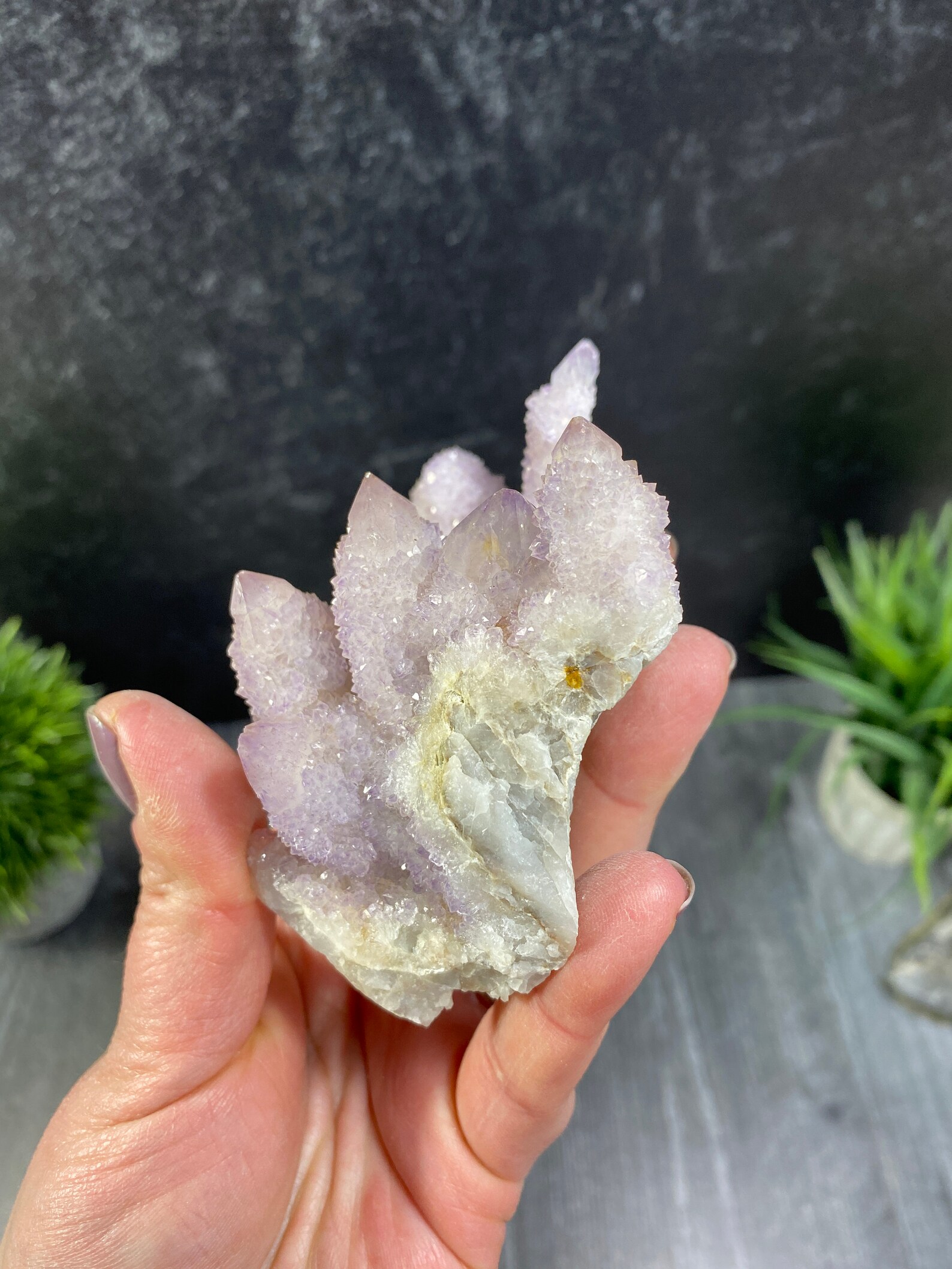 South African Crystals Amethyst Spirit Quartz Cluster Purple | Etsy