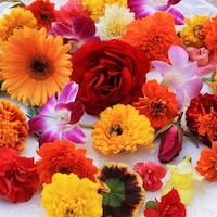 Fresh Edible Flowers Micro Flowers™ Blend 200 Ct - Etsy