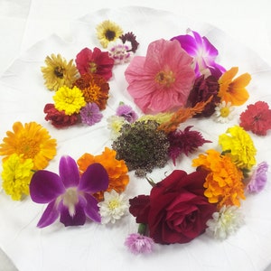 Fresh Edible Flowers Premium Assortment Mix 3oz - Etsy