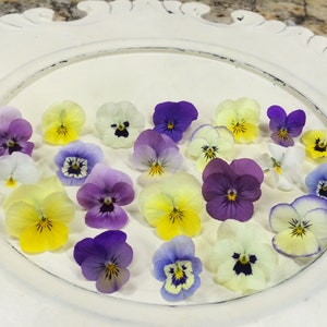 Fresh Edible Flowers Viola 50 Ct - Etsy