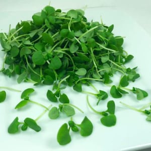 GourmetSwtBotanicals - Etsy