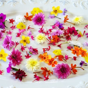 Fresh Edible Flowers Micro Flowers™ Blend 200 Ct - Etsy