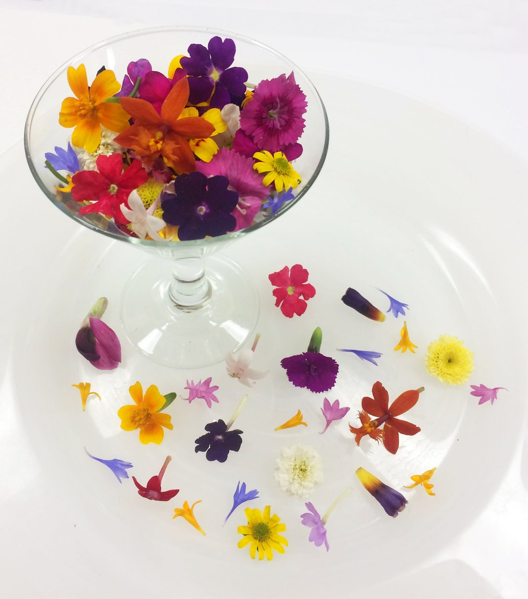 Fresh Edible Flowers Micro Flowers Blend™ 200 Ct - Etsy