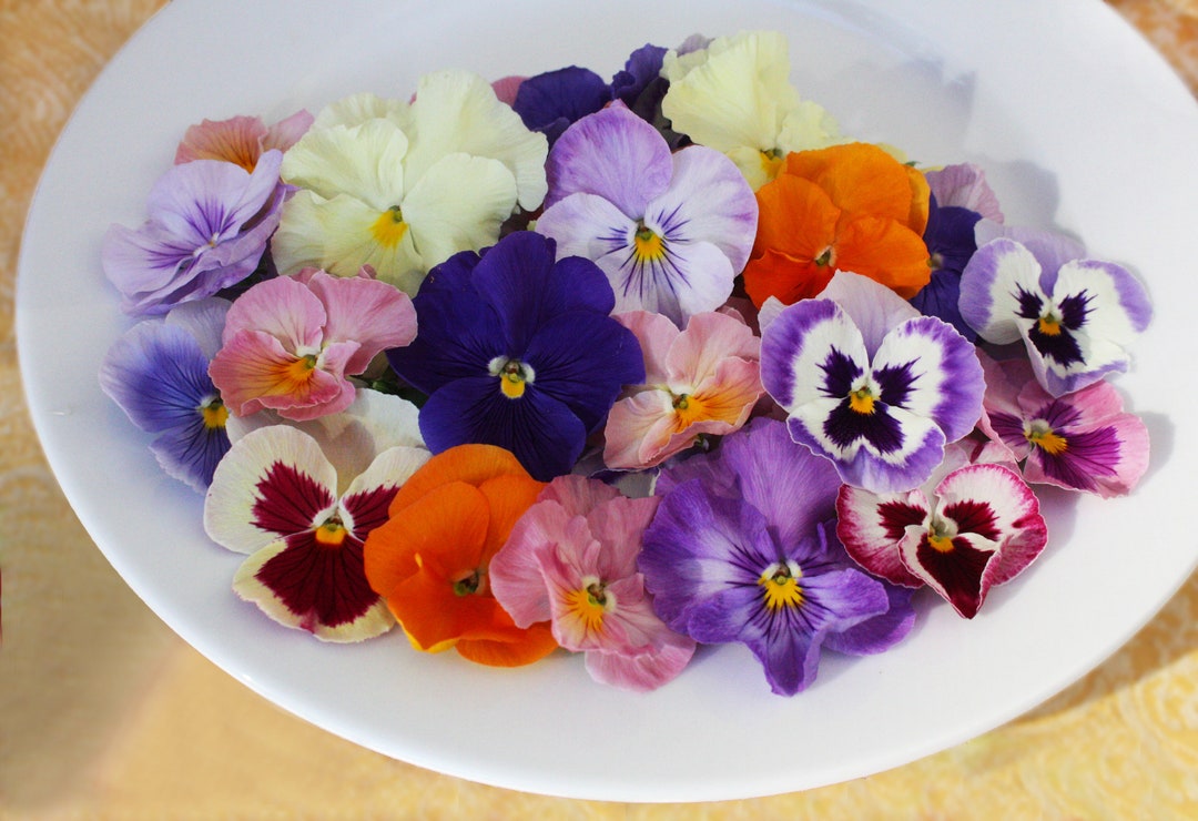Fresh Edible Flowers Pansy 50 Ct - Etsy
