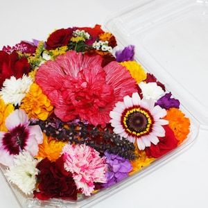 Fresh Edible Flowers Premium Assortment Mix - Etsy