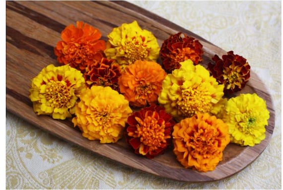 Edible Flowers Marigold 50 Ct - Etsy