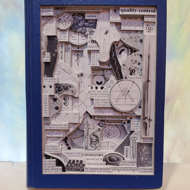 Altered Book Art - Etsy