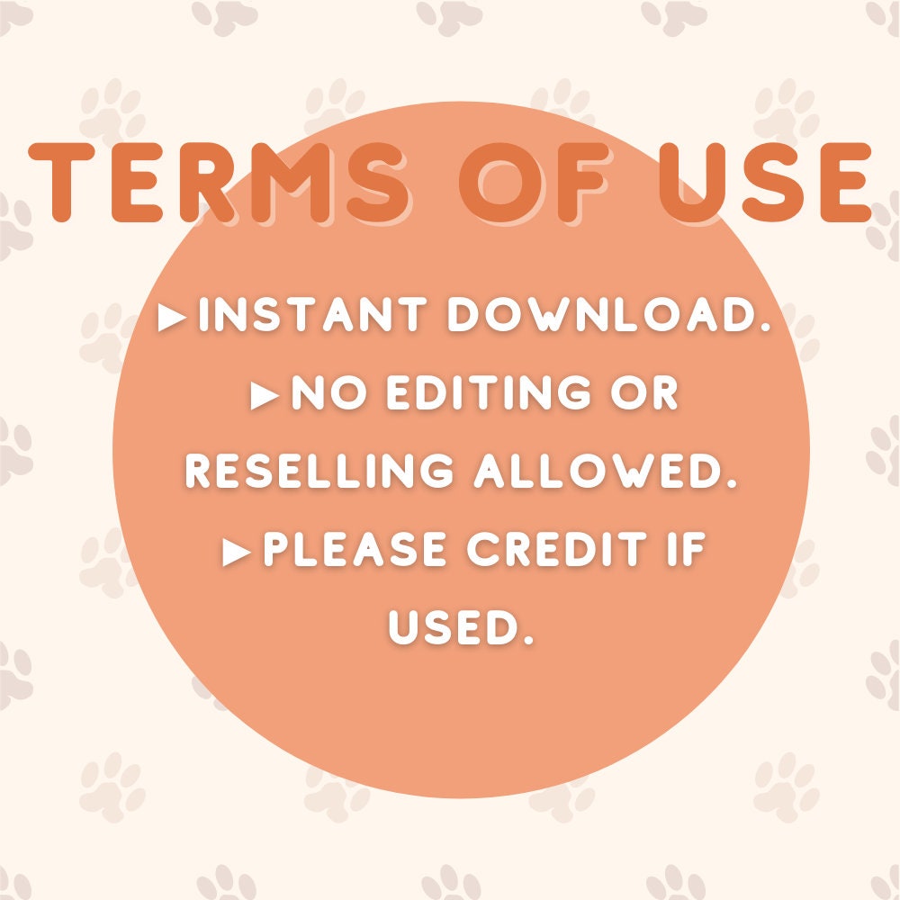 Orange Cat Chat Box | Twitch Stream Chat Box | Stream Chat Box - Etsy