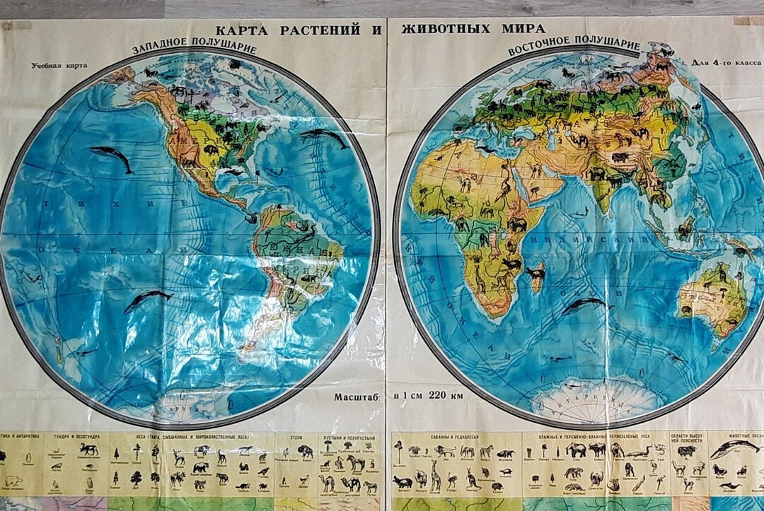 1983 Big Vintage Wall Animal World Map. Soviet Wall Map. Vintage World ...