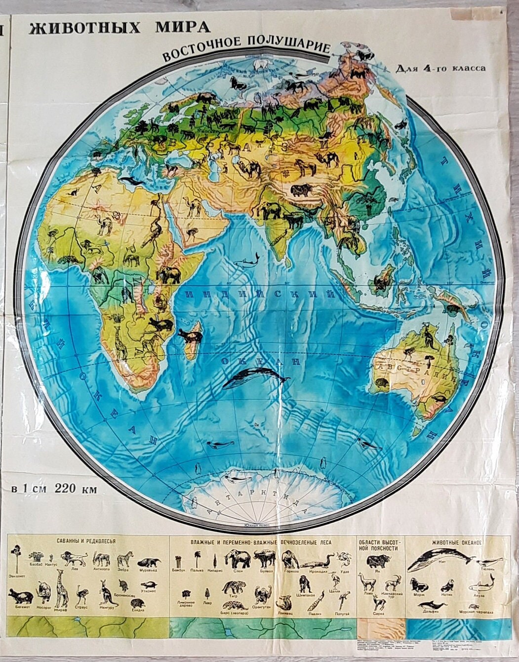 1983 Big Vintage Wall Animal World Map. Soviet Wall Map. Vintage World ...