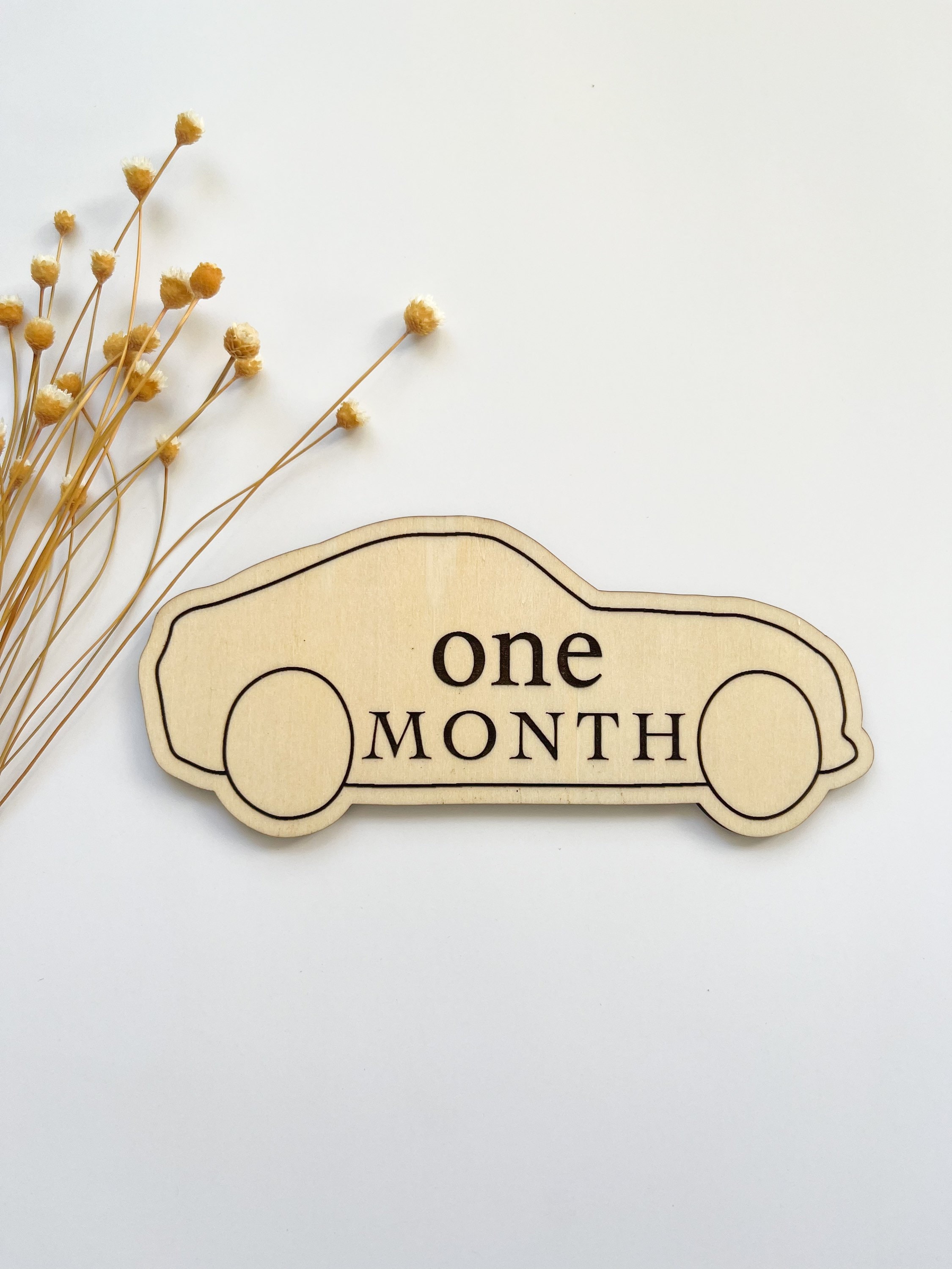 Baby Milestone Props, Car Milestone, Car Montly Marker - Etsy