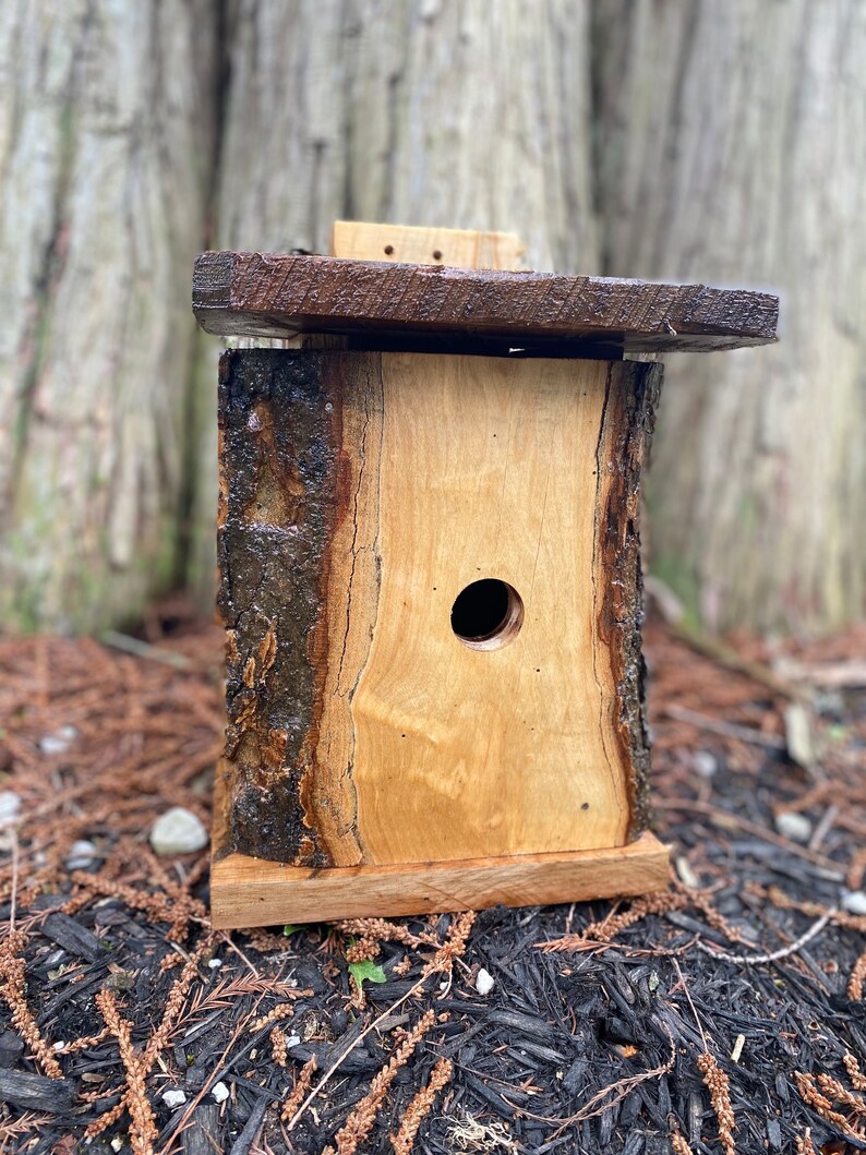 Songbird Birdhouse Rustic Wood Handmade - Etsy
