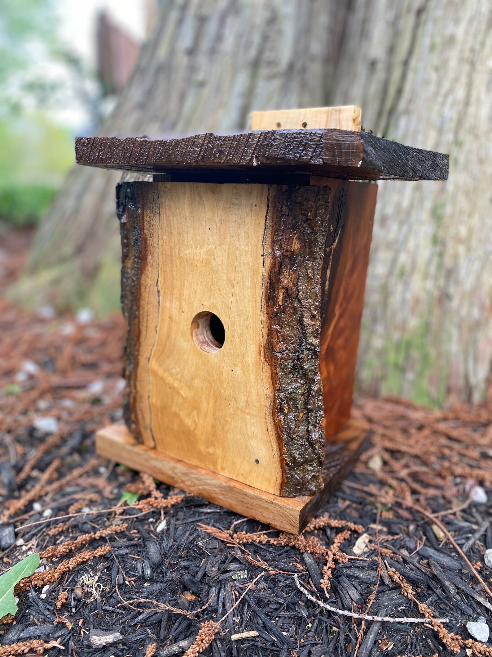 Songbird Birdhouse Rustic Wood Handmade - Etsy