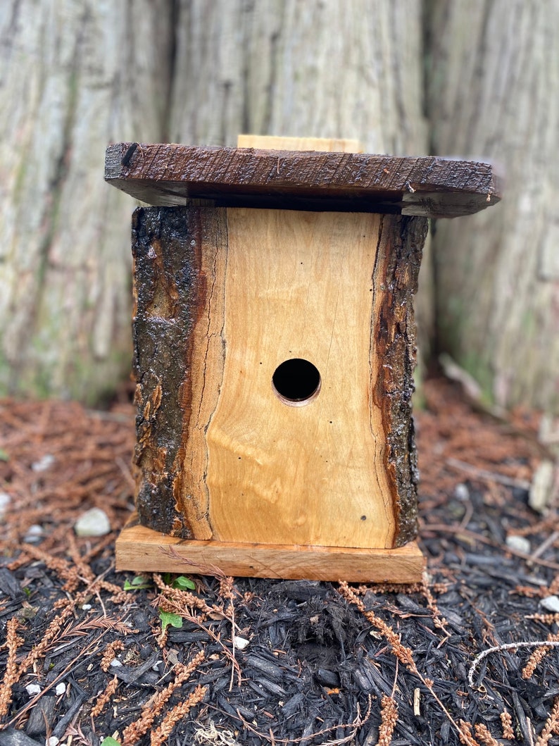 Songbird Birdhouse Rustic Wood Handmade - Etsy