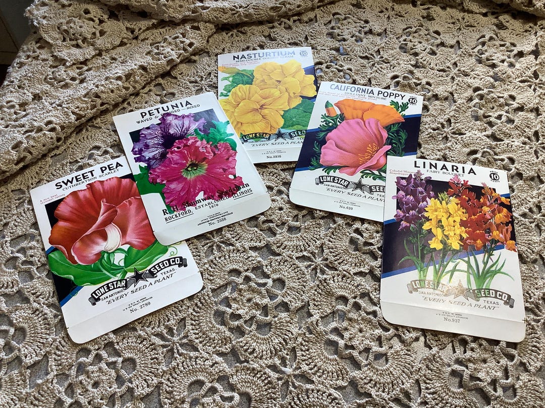 5 Vintage Flower Seed Packages Envelopes for Junk Journals ...