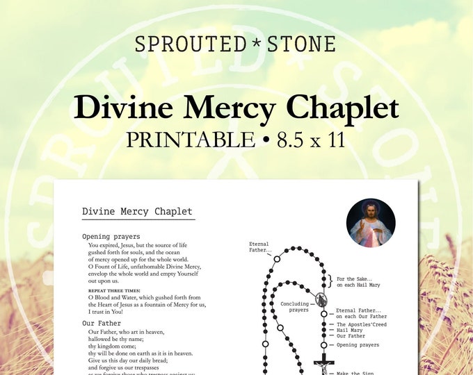 How to Pray the Divine Mercy Chaplet - Printable - Etsy