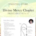 How to Pray the Divine Mercy Chaplet - Printable - Etsy