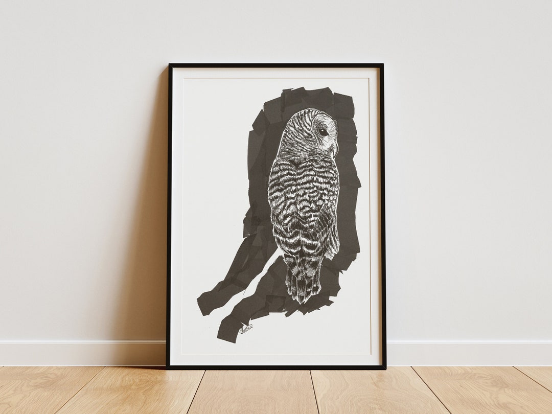 North American Barn Owl Pen and Ink Drawing - 8.5 X 11 Inch Print ...