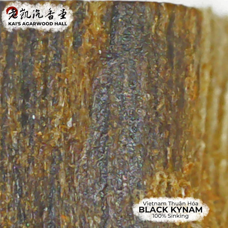 100% Sinking Black Kynam Agarwood Chunks From Vietnam Thuan | Etsy