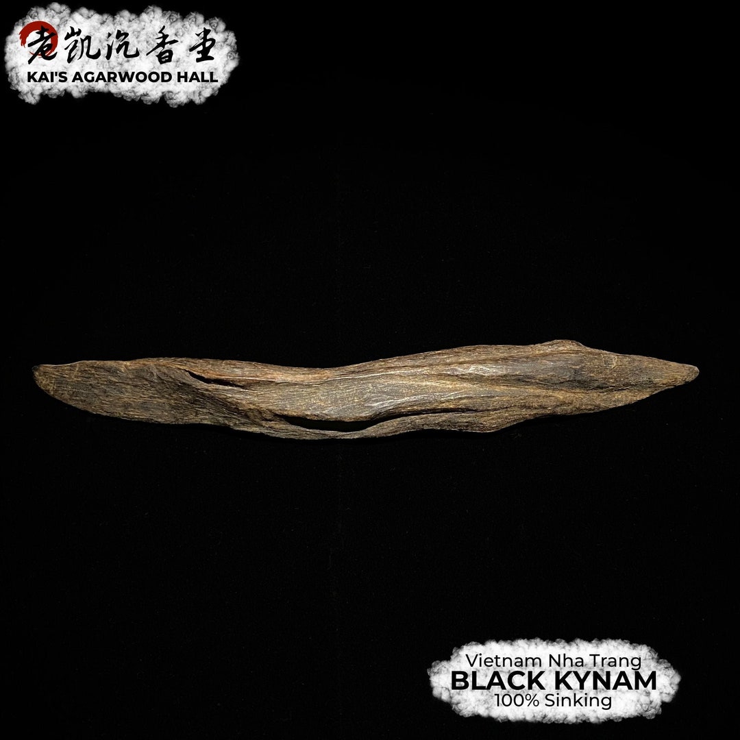 100% Sinking Black Kynam Agarwood Piece From Vietnam Nha Trang, 26.4g ...